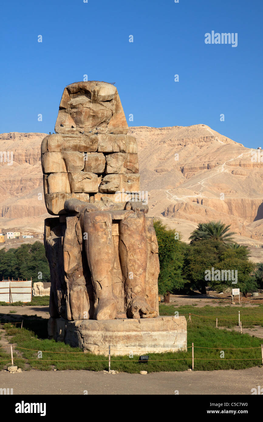 The Colossus of Memnon 18 metres high on the west bank of the Nle Stock ...