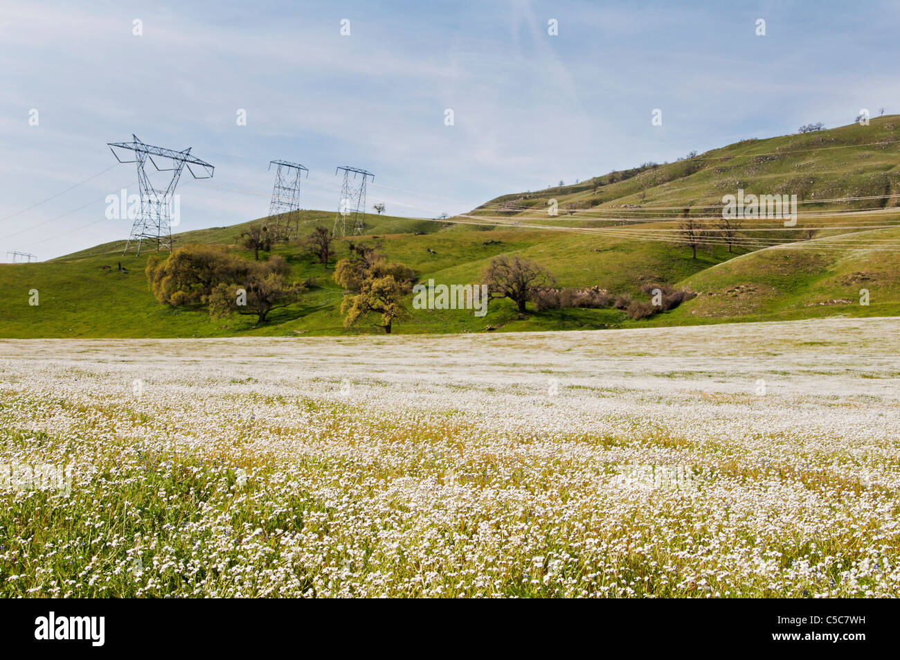 White Horizontal Lines High Resolution Stock Photography and Images - Alamy