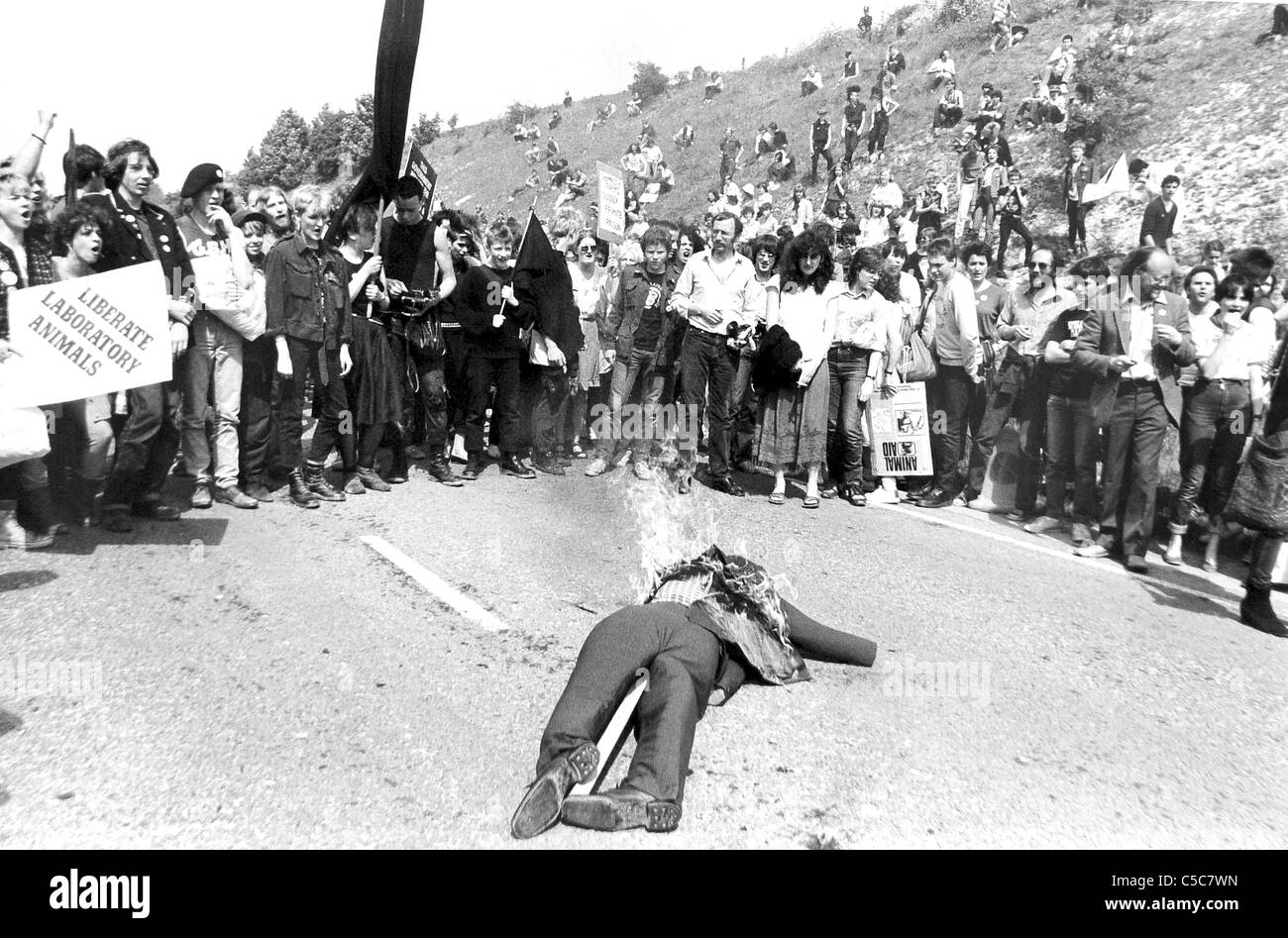 Animal rights movement monkey hi-res stock photography and images - Alamy