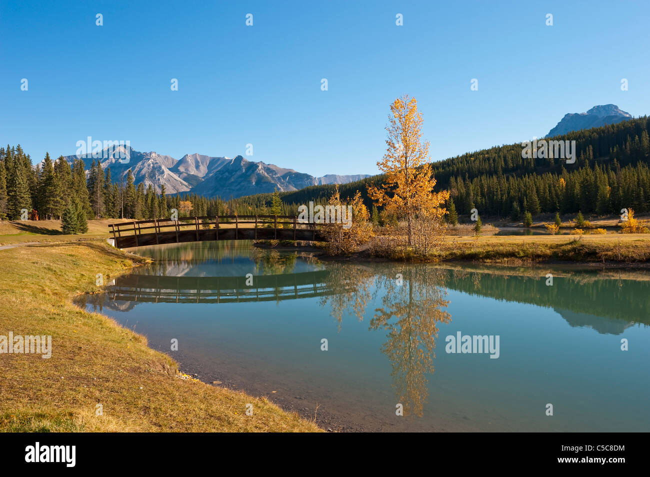 Footbridge At Cascade Ponds In Banff National Park; Banff, Alberta ...