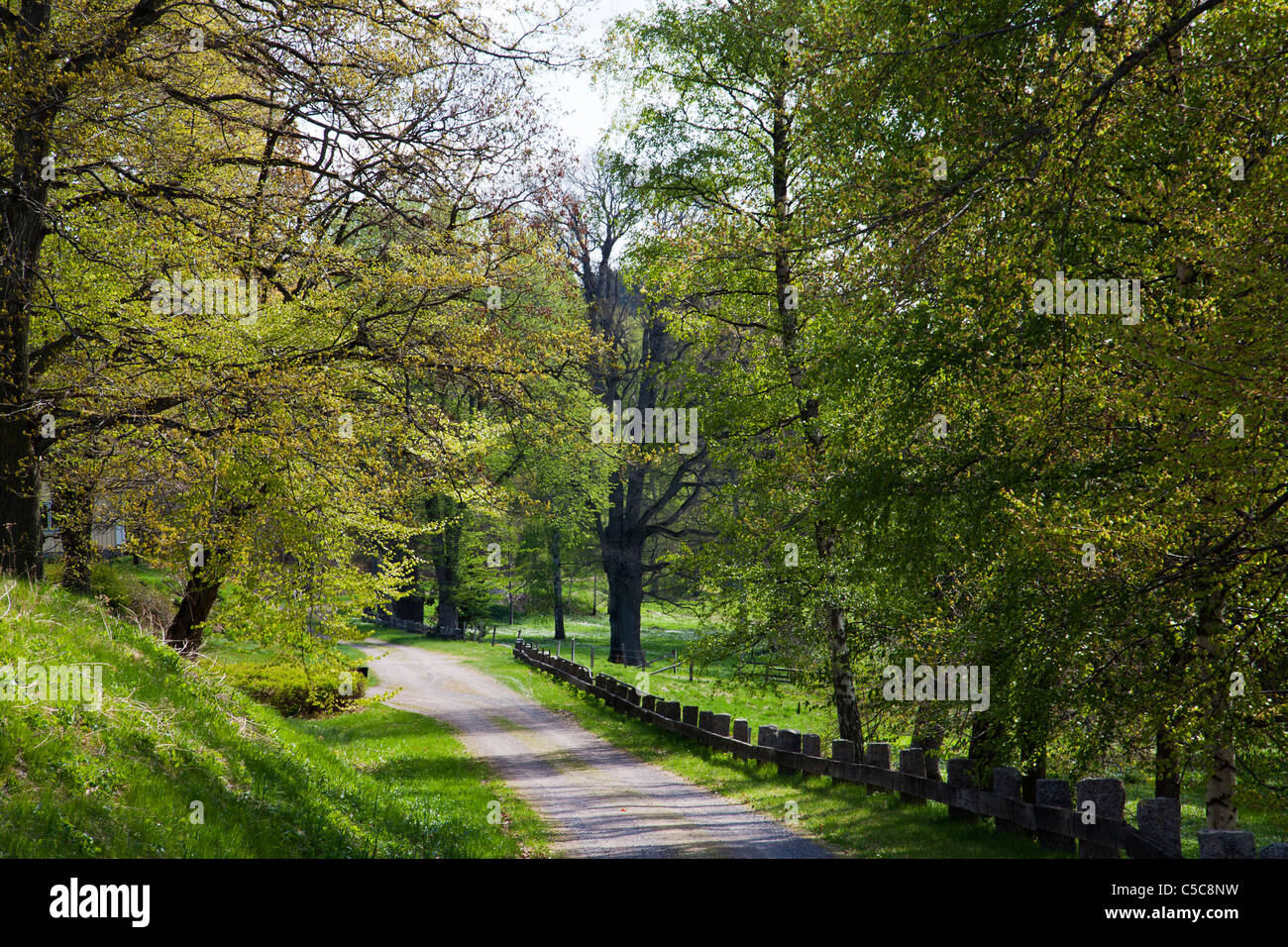 Seasons spring hi-res stock photography and images - Alamy