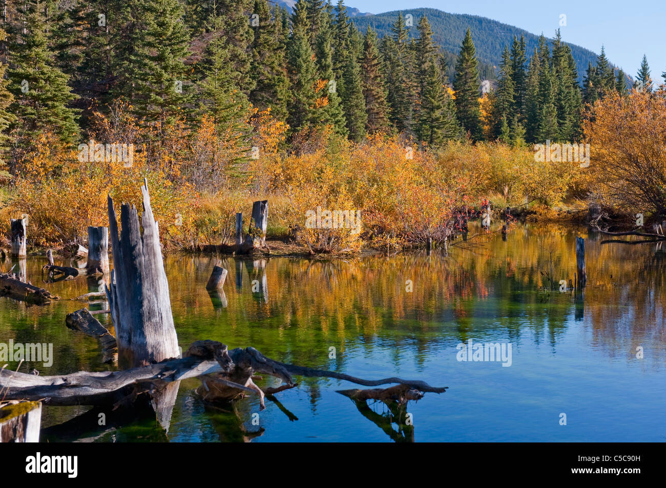 A Stream Near Vermillion Lakes In Banff National Park; Banff, Alberta ...