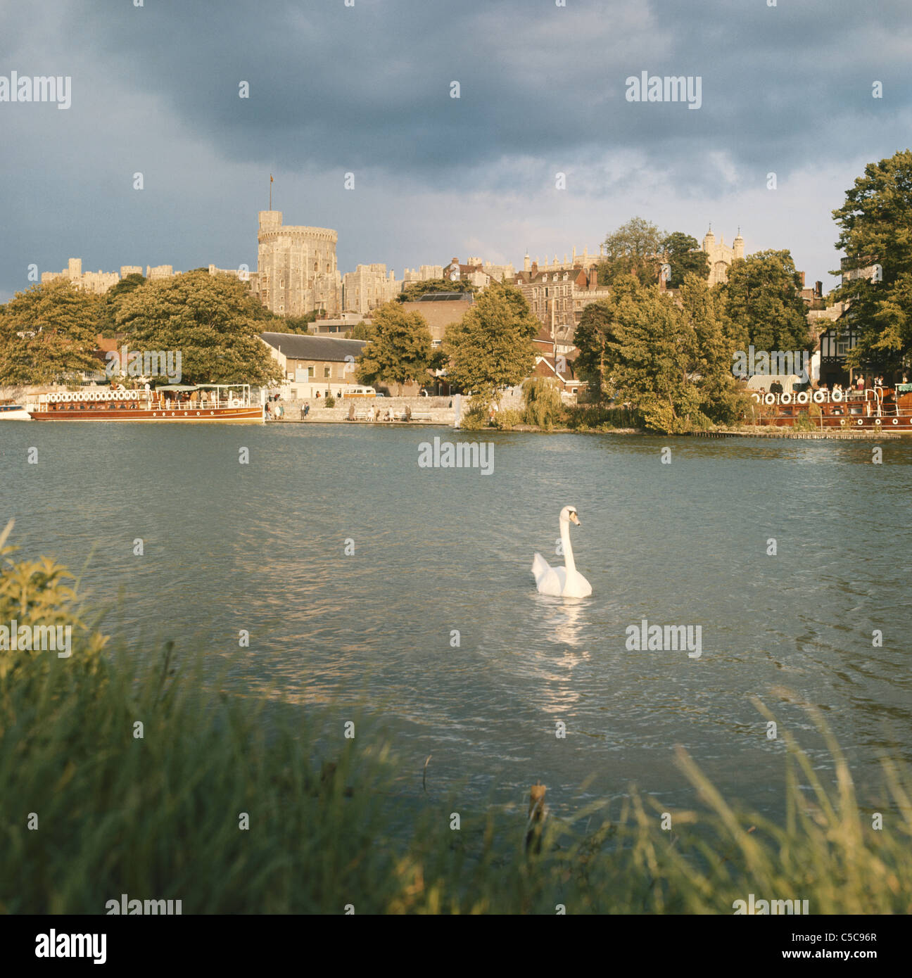 Windsor Castle viewed across the River Thames from fields of Eton ...