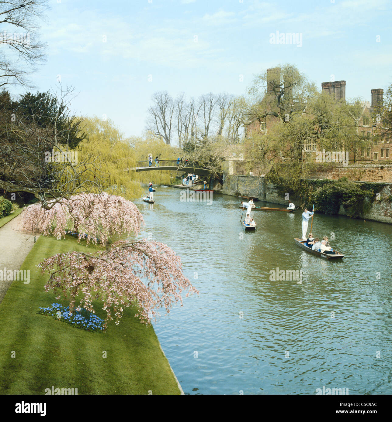 Springtime punting on the River Cam, Cambridge, England, Britain, GB ...