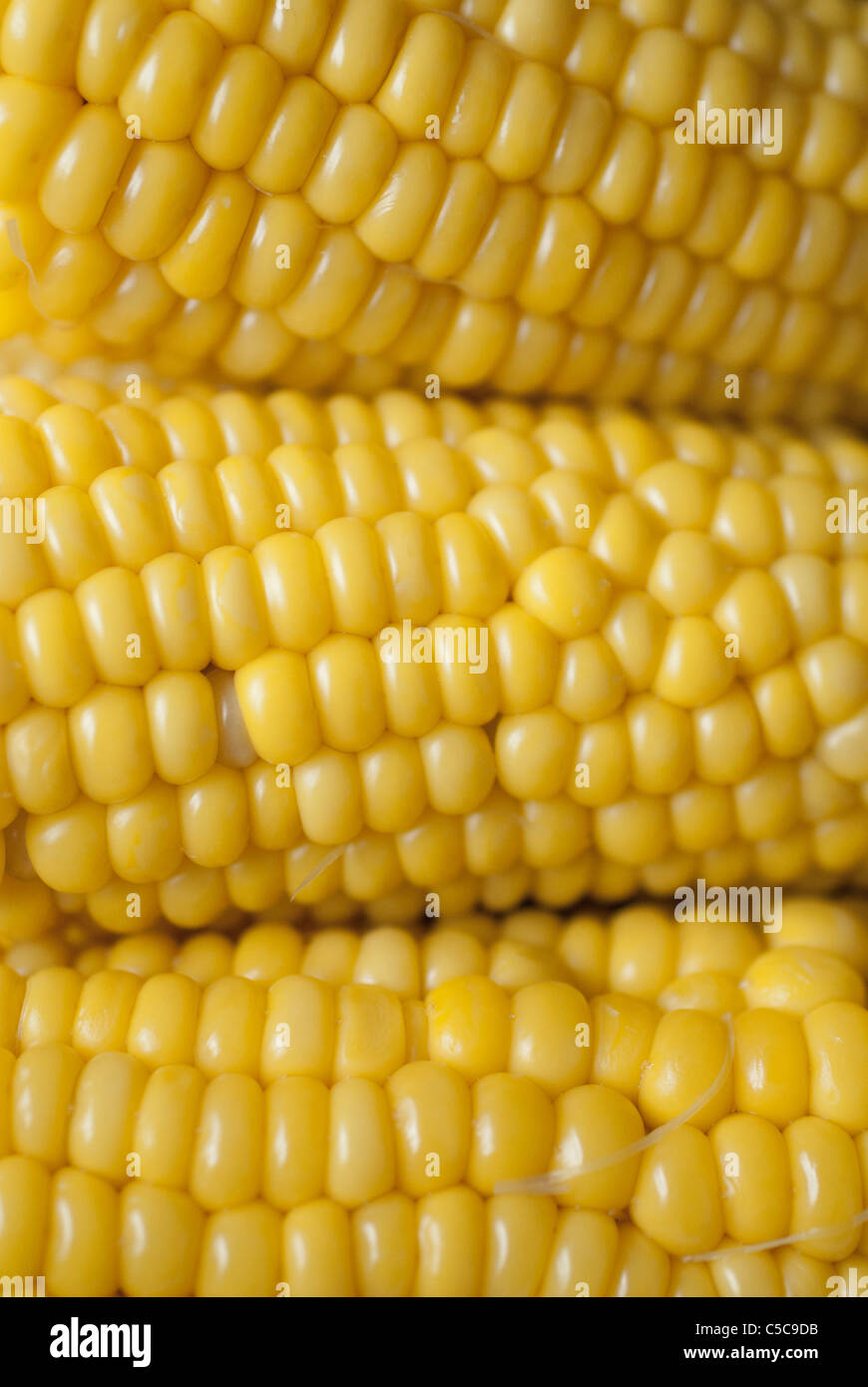Corn on the cob on white hi-res stock photography and images - Alamy