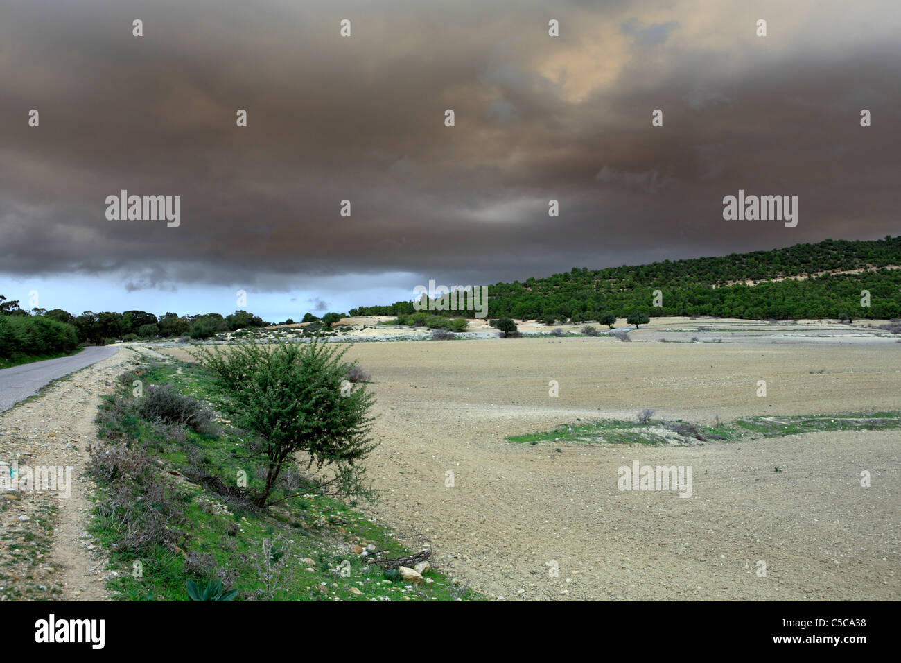 Medjerda valley hi-res stock photography and images - Alamy