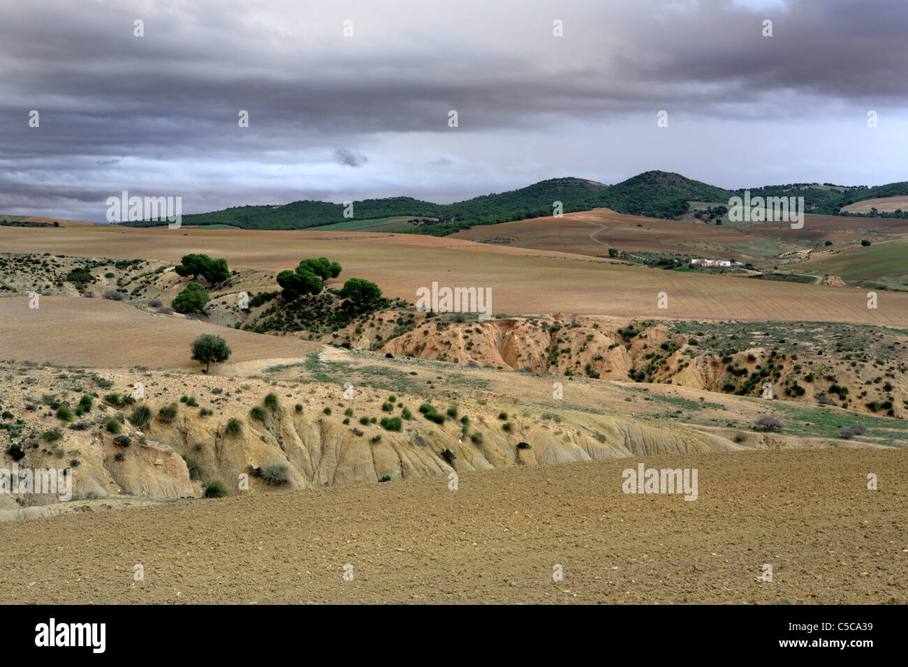 Medjerda valley hi-res stock photography and images - Alamy