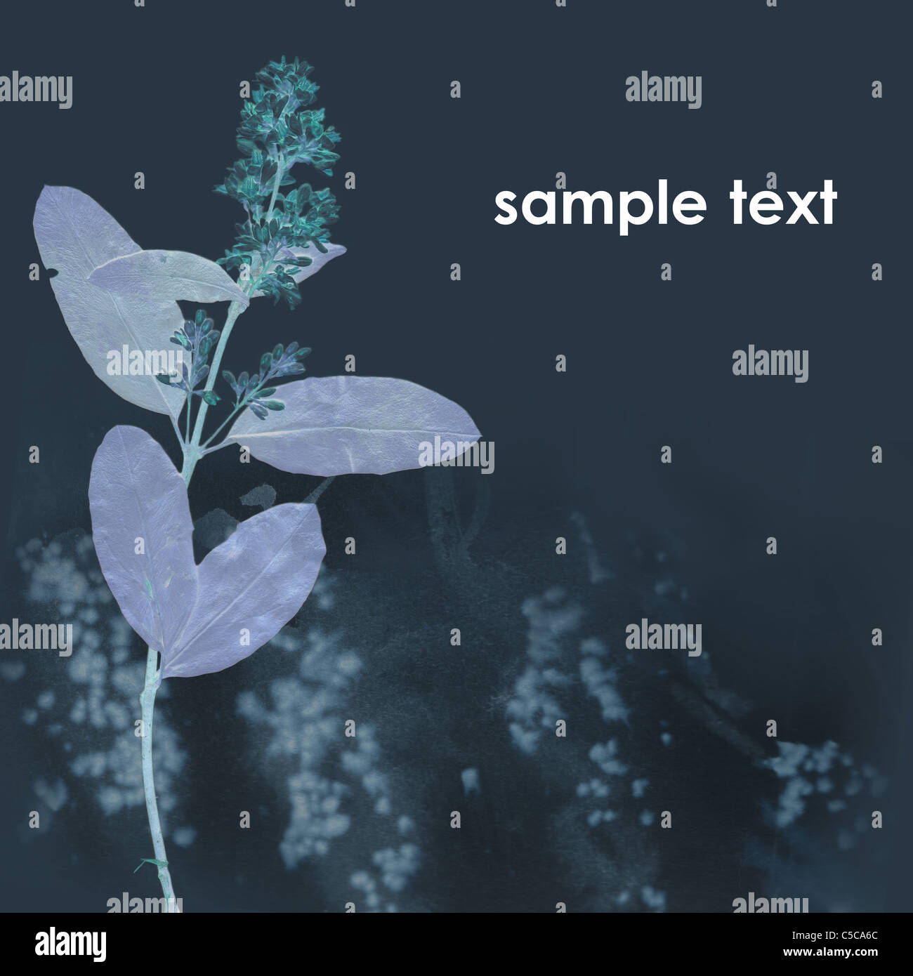 Flower element for a background Stock Photo - Alamy