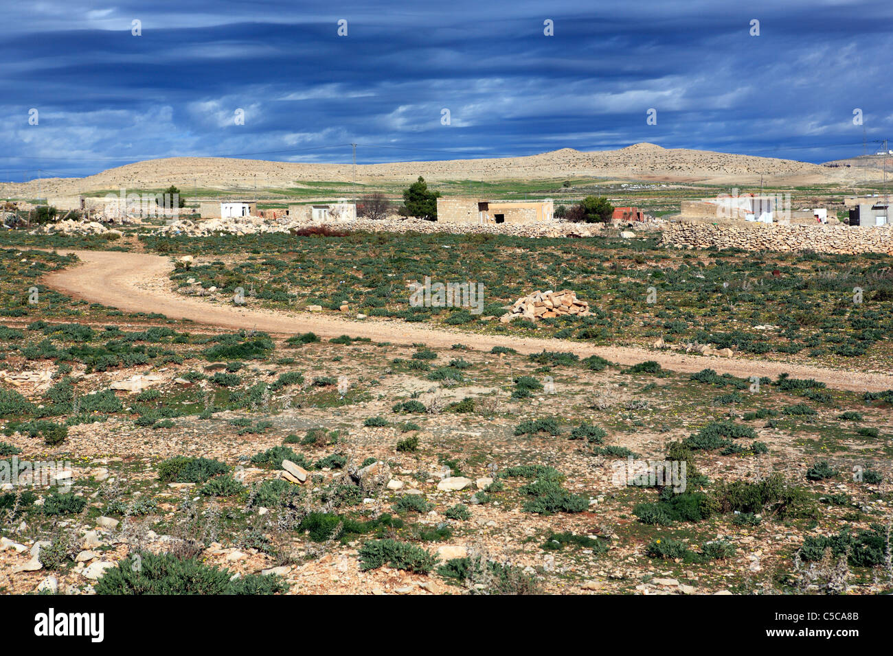 Haidra hi-res stock photography and images - Alamy