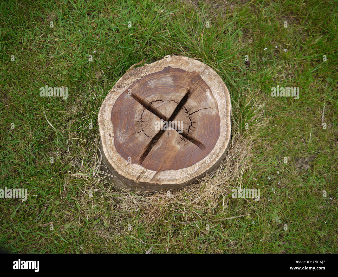 Intricate pattern hi-res stock photography and images - Alamy