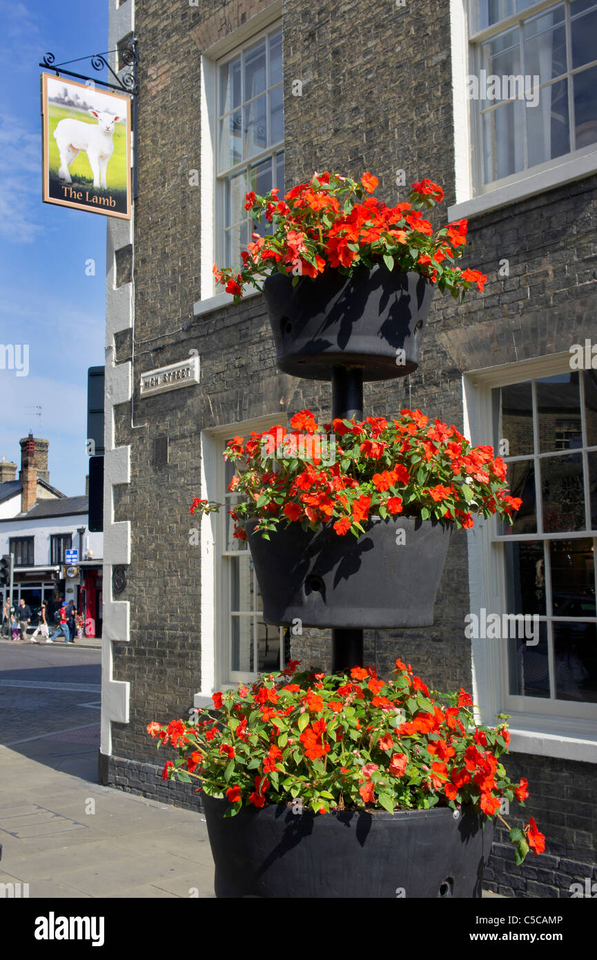 Ely High Street Flowers Stock Photo - Alamy