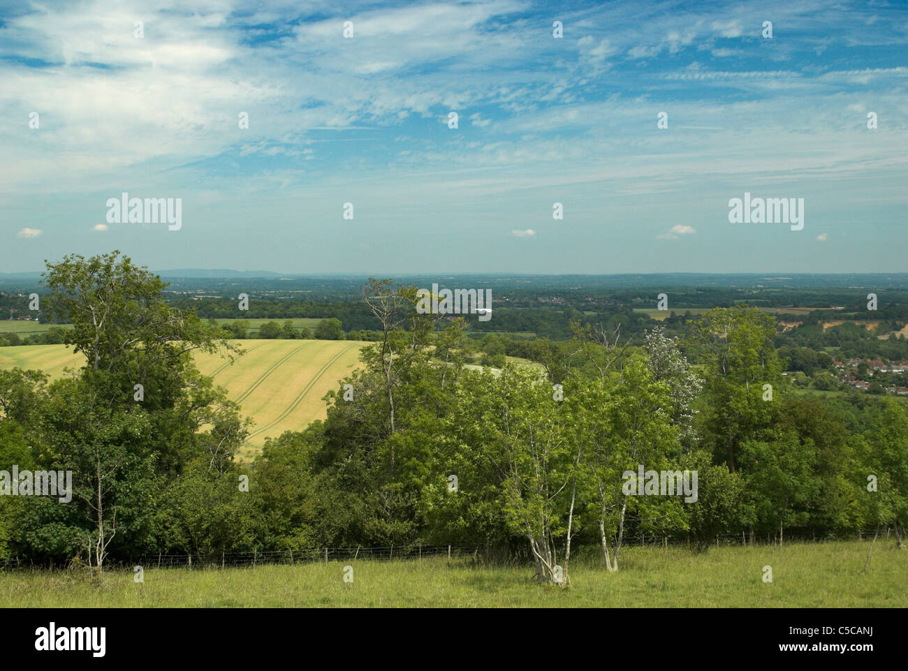 Looking north over the Sussex Weald from the South Downs Way above the ...