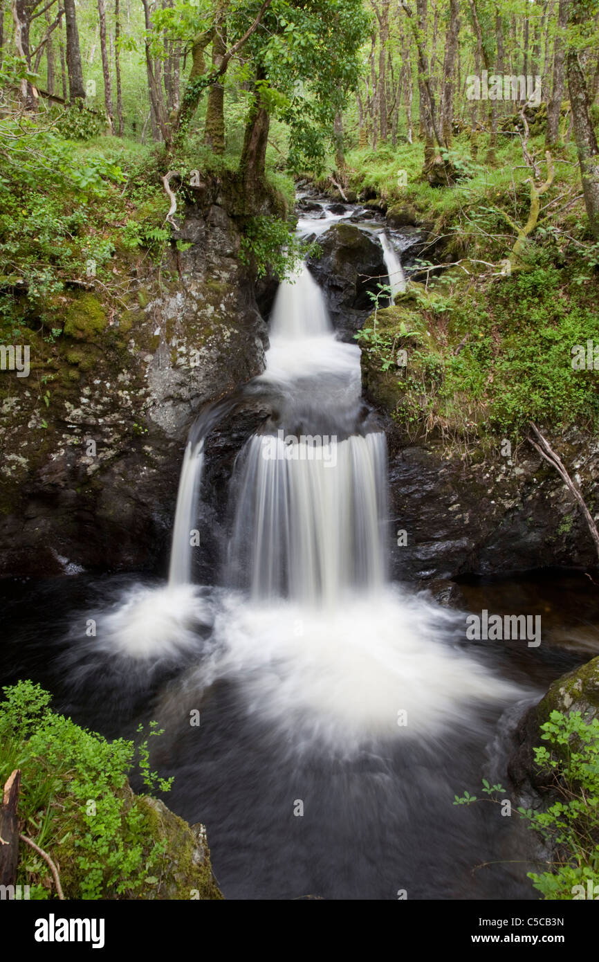 Cree hi-res stock photography and images - Alamy