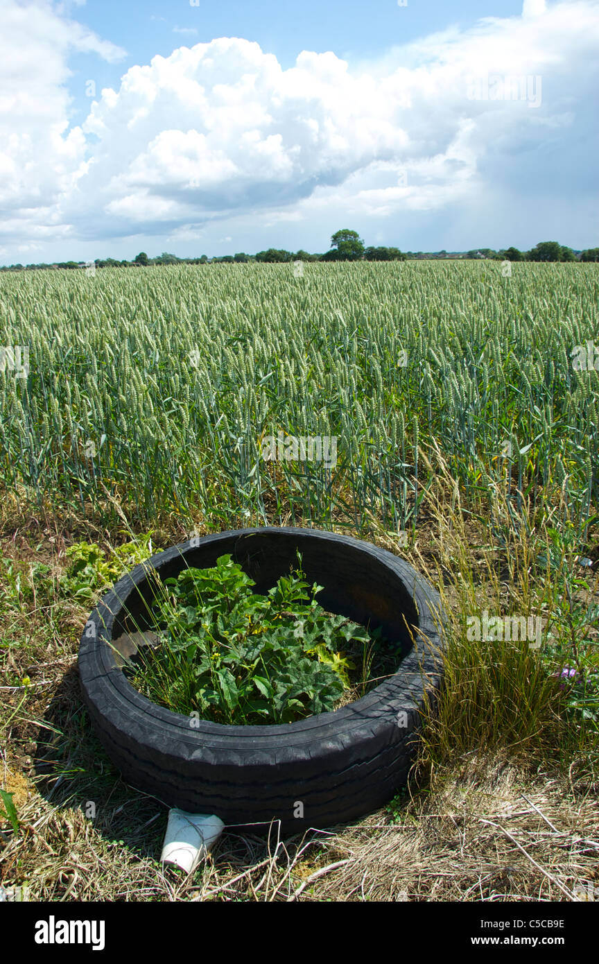 Waste society hi-res stock photography and images - Alamy