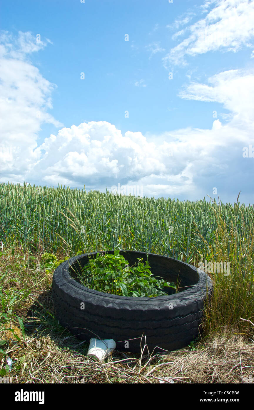 Rummage rubbish hi-res stock photography and images - Alamy