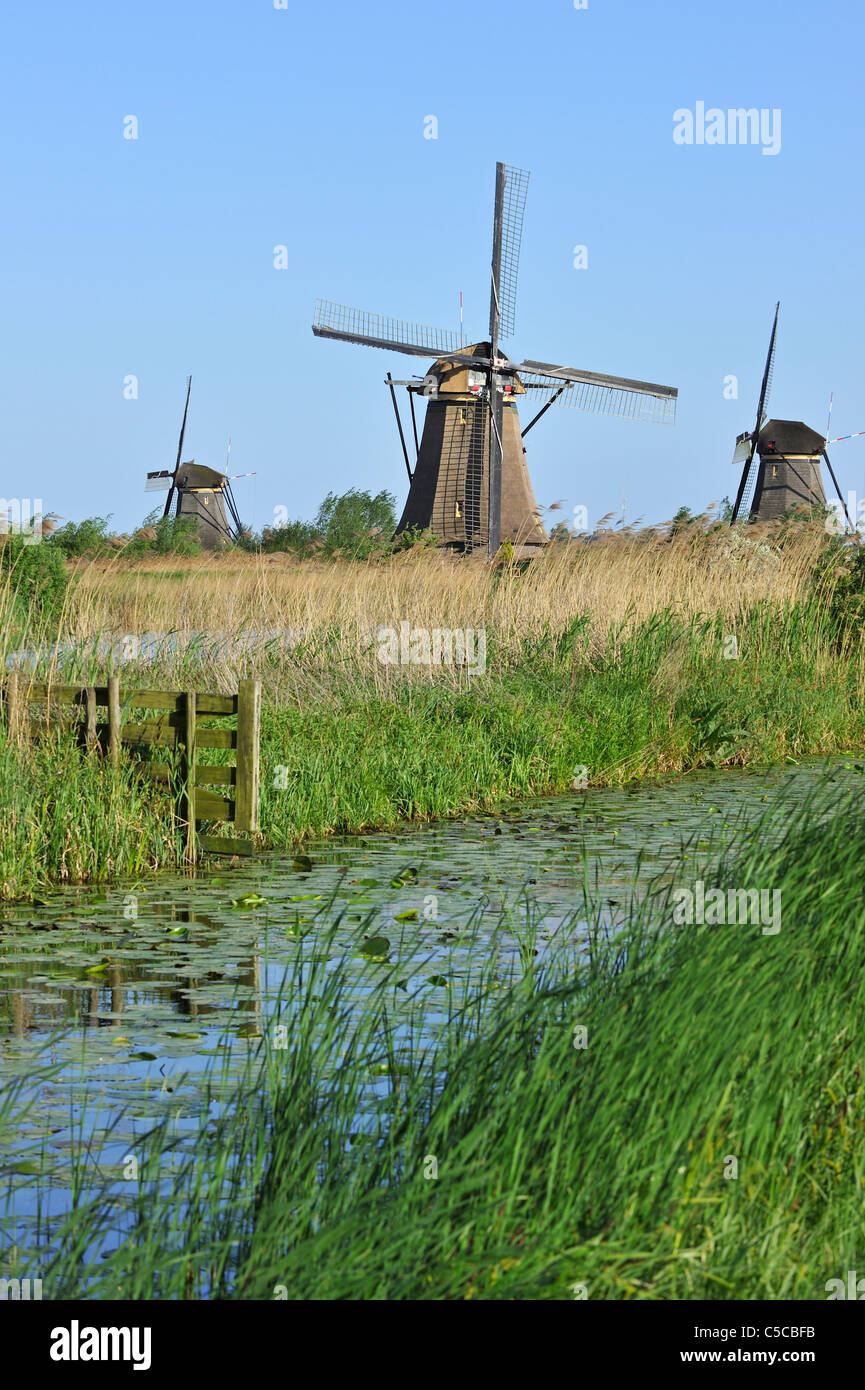 Polder netherlands holland hi-res stock photography and images - Alamy