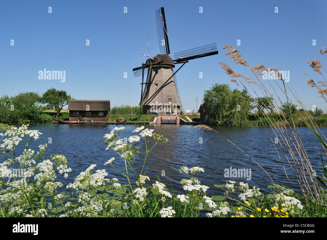 Thatched polder windmill along canal at Kinderdijk, a UNESCO World ...