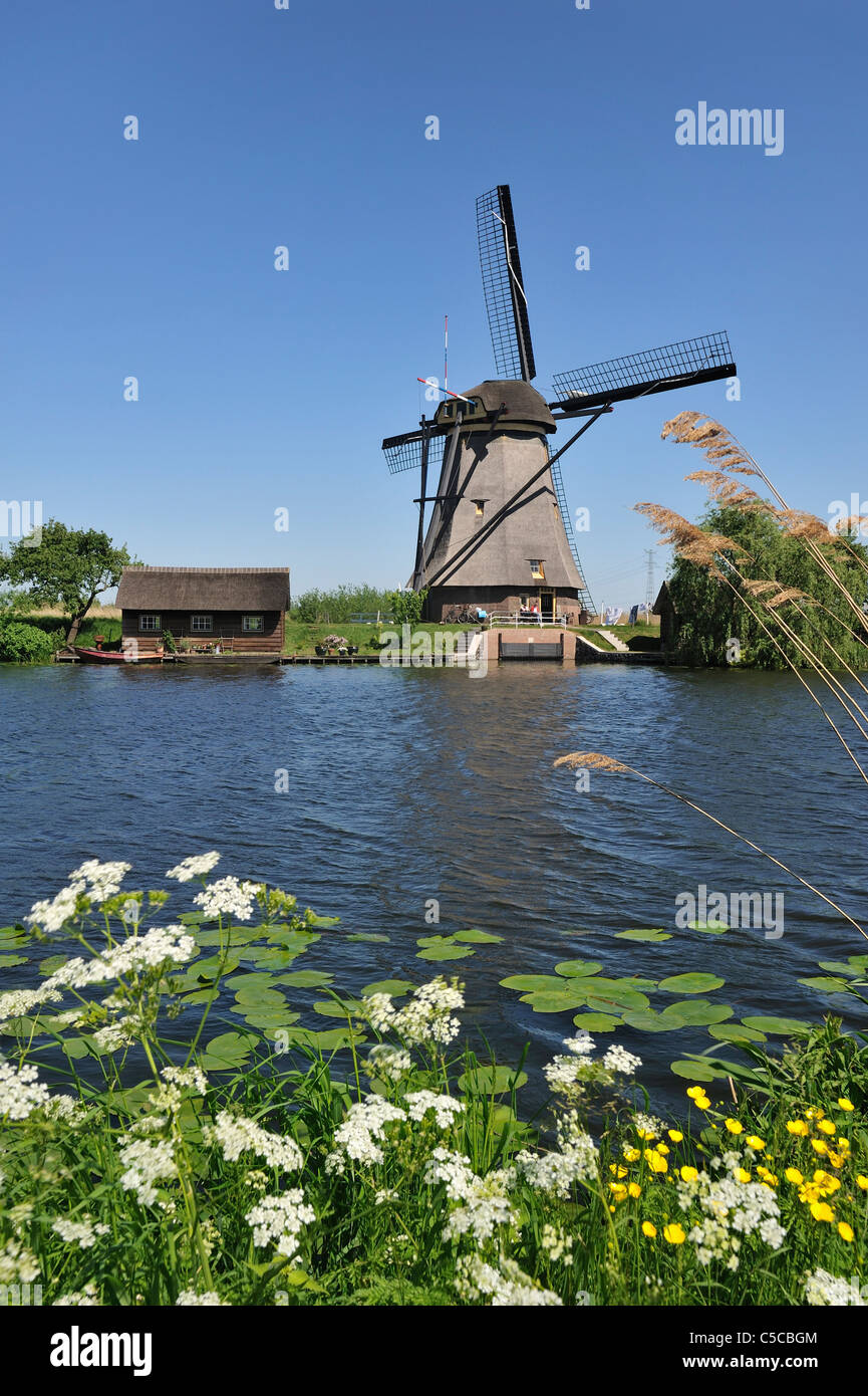 Thatched polder windmill along canal at Kinderdijk, a UNESCO World ...