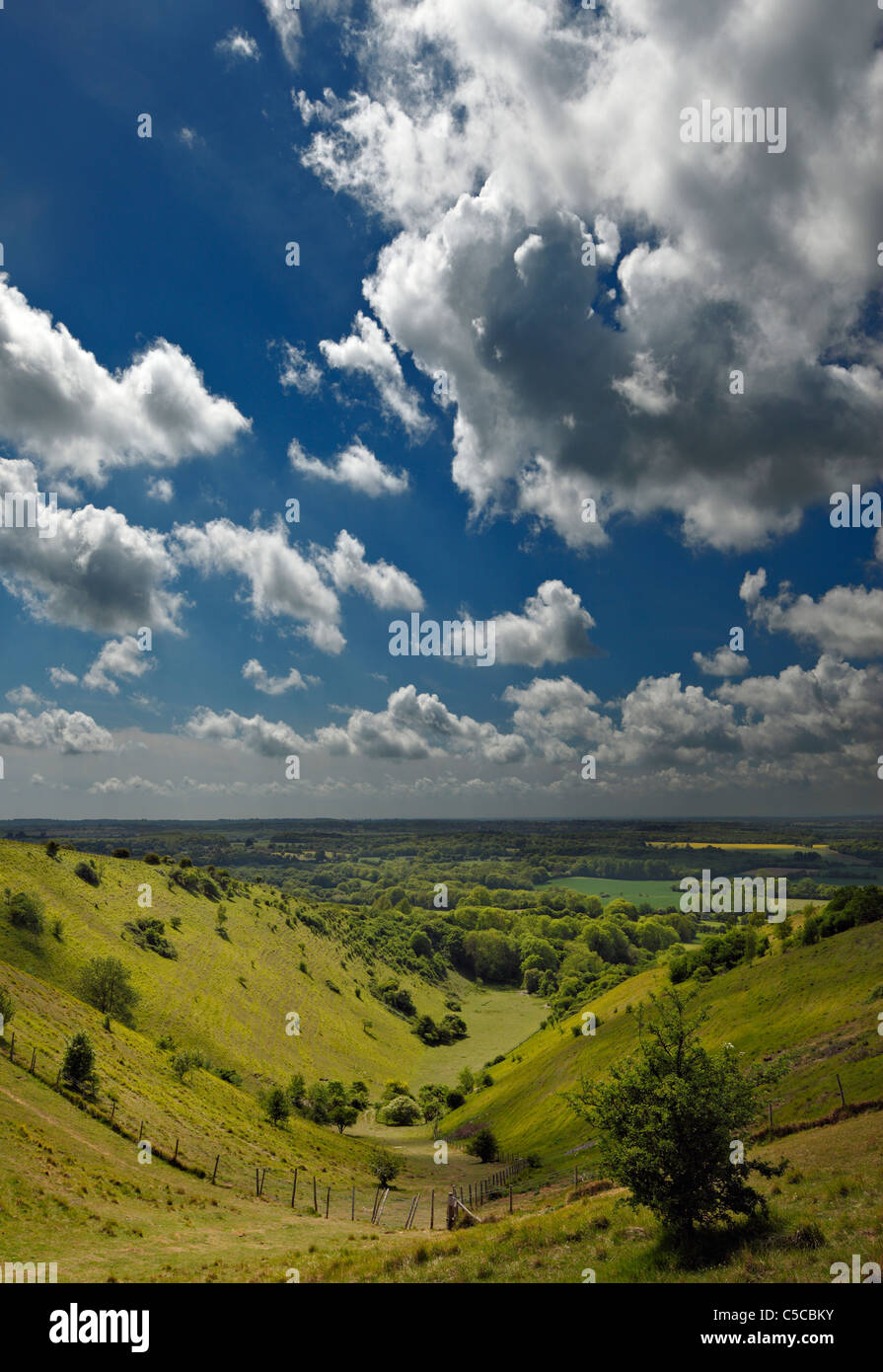 The Devils Kneading Trough, Wye Downs National Nature Reserve Stock ...