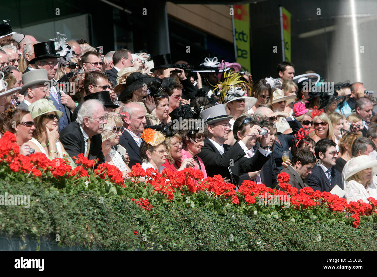 A scene from the Ascot race meeting, Ascot, near London, UK Stock Photo ...
