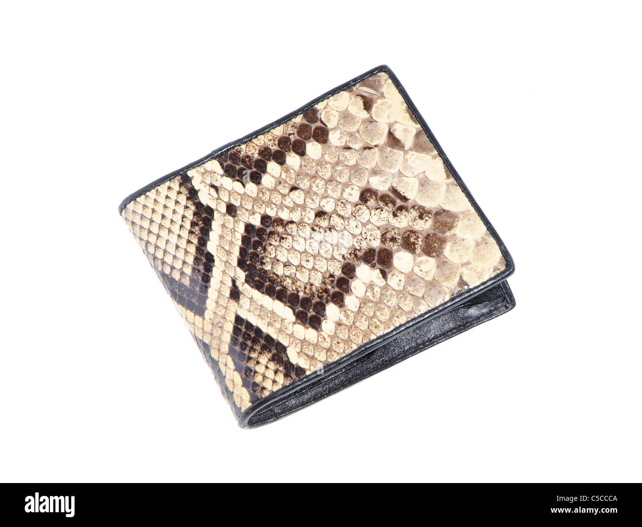 Endangered species design hi-res stock photography and images - Alamy