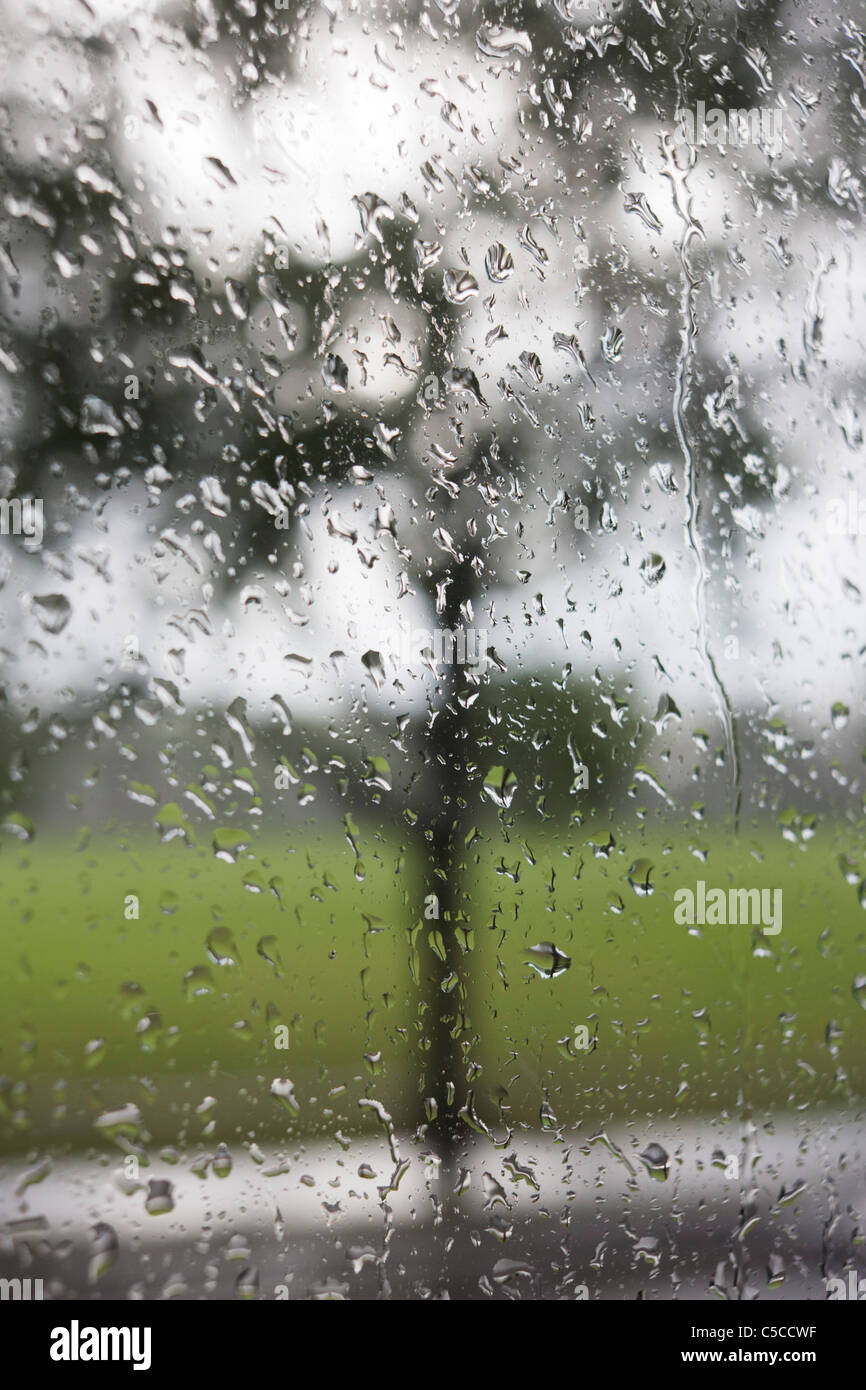 Raindrops on a pane of window glass with an urban park background Stock ...