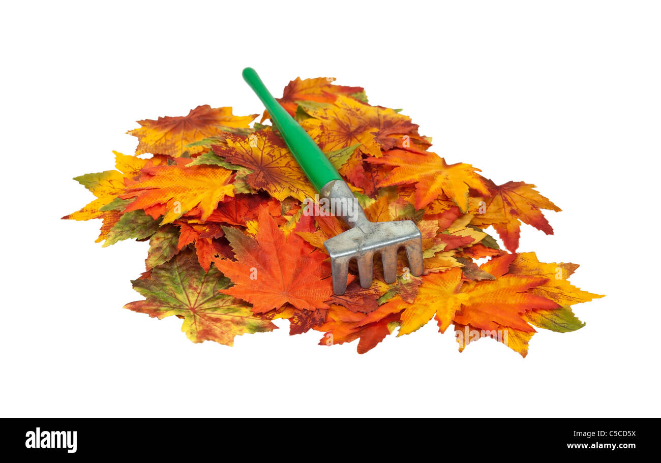 Metal rake on a pile of colorful fall leaves - path included Stock ...