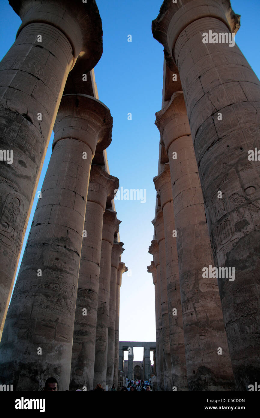 Luxor temple. Colonnade (c. 1370 BC), Luxor, Egypt Stock Photo - Alamy