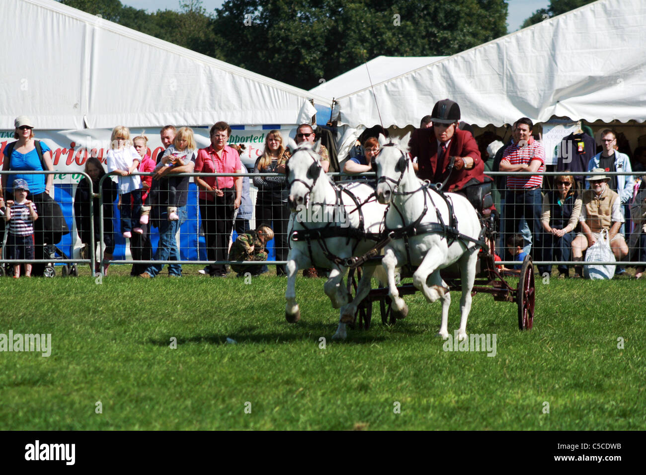 Scurry racing at Cheshire game and country show at Cheshire Show Ground ...