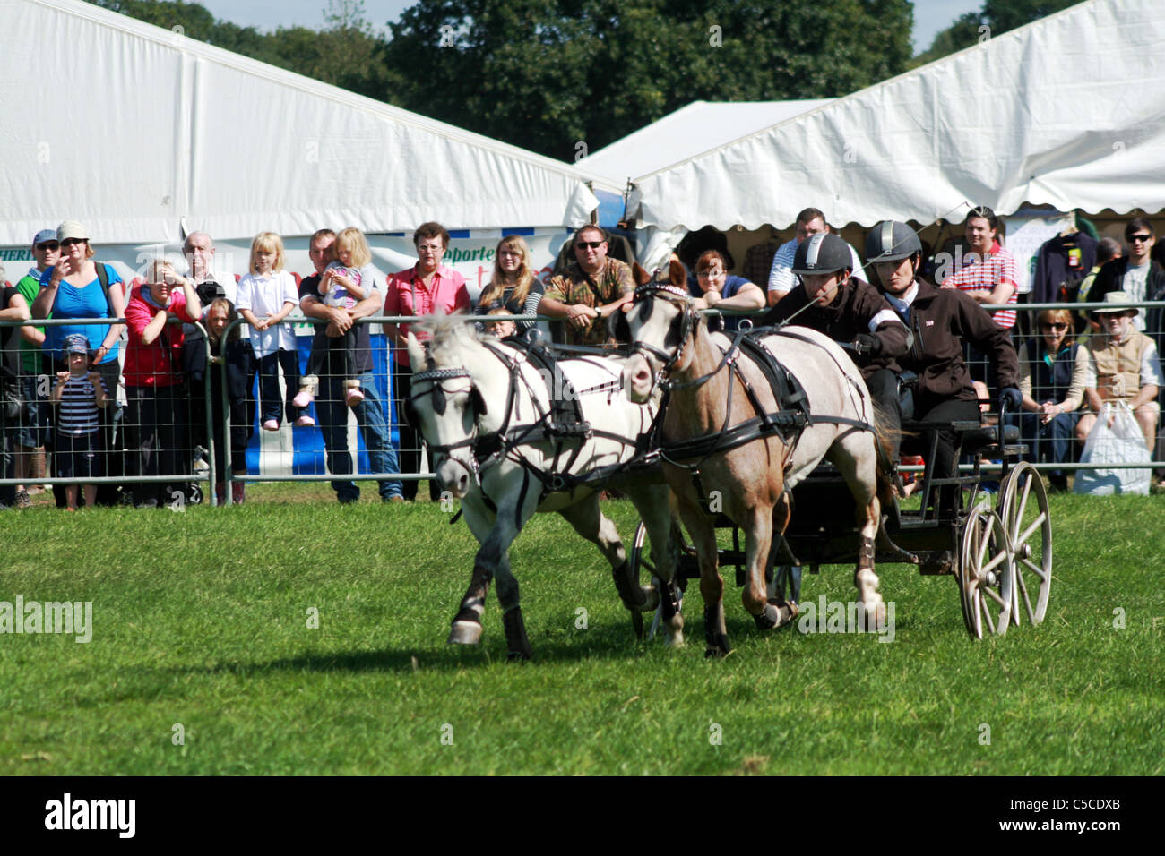 Scurry vehicle hi-res stock photography and images - Alamy