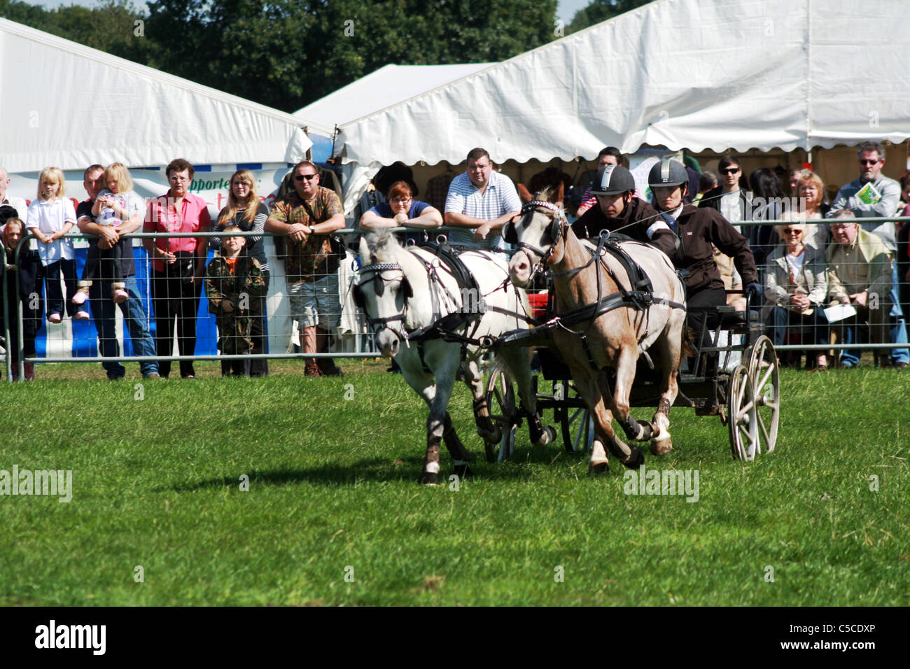 Scurry racing at Cheshire game and country show at Cheshire Show Ground ...