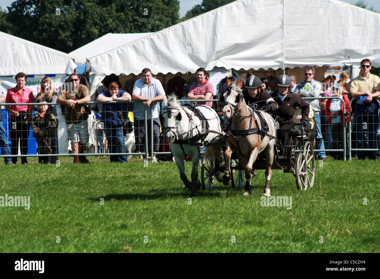 Scurry racing hi-res stock photography and images - Alamy