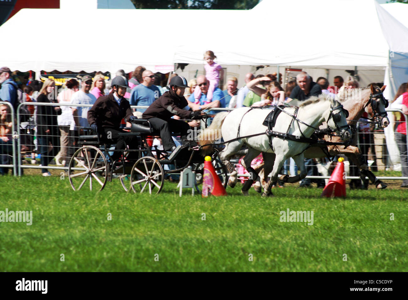 Scurry racing at Cheshire game and country show at Cheshire Show Ground ...