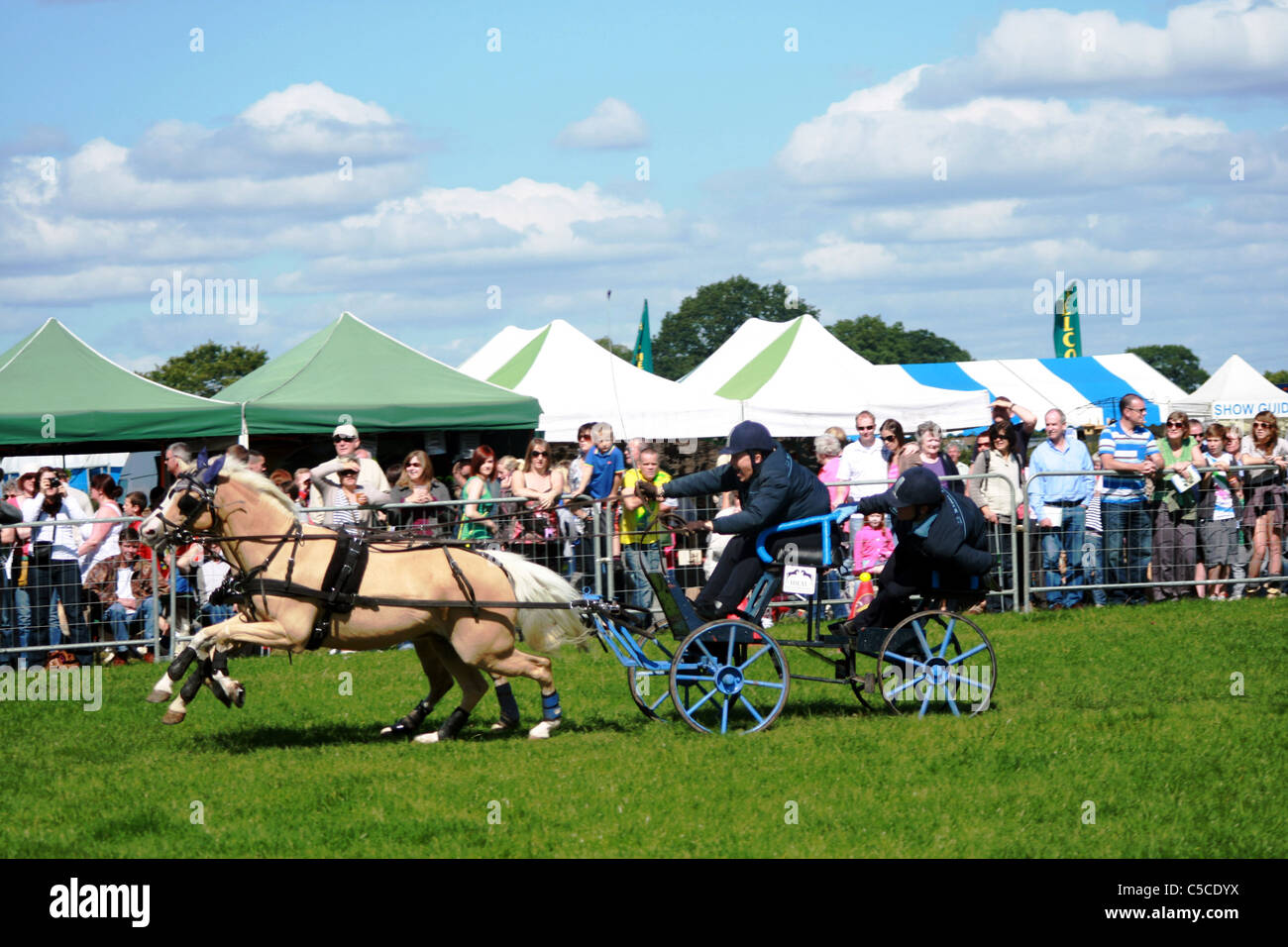 Scurry racing at Cheshire game and country show at Cheshire Show Ground ...