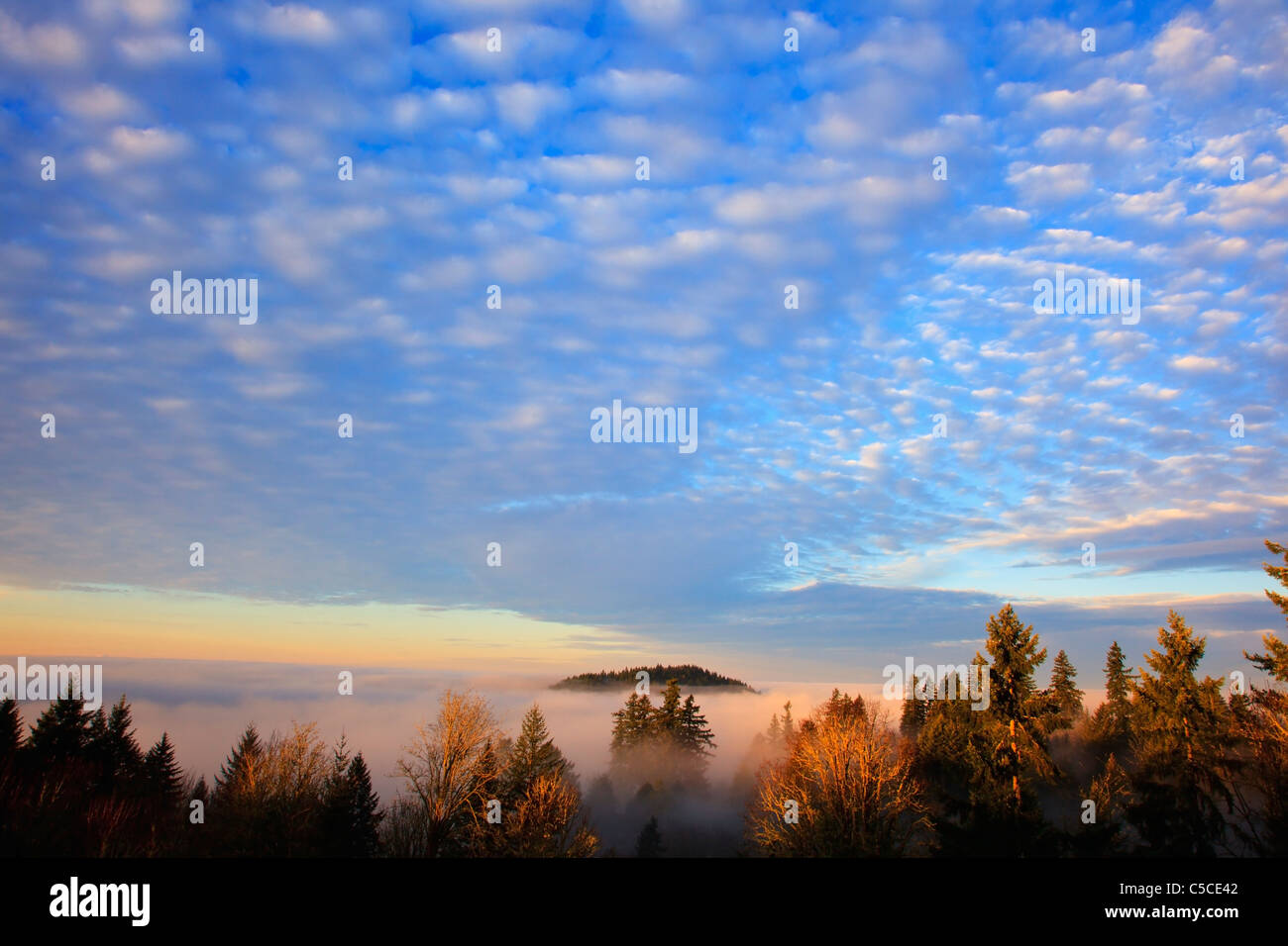 Sunrise Through Morning Fog; Willamette Valley, Oregon, United States ...