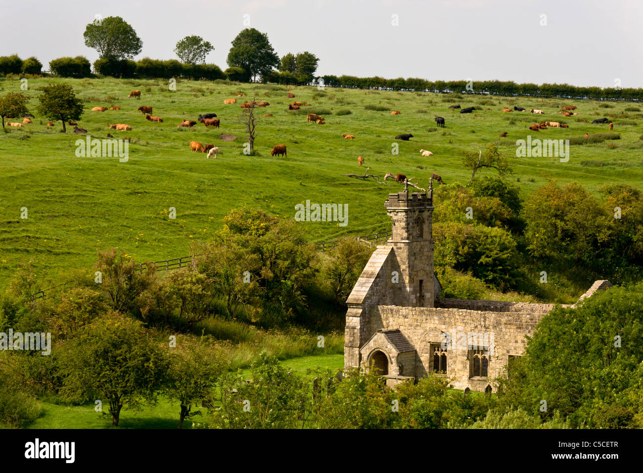 Wharram Percy Medieval Village