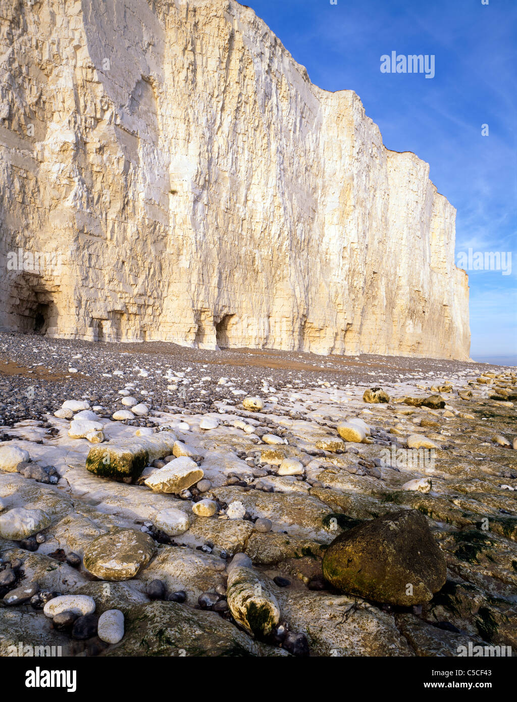 The Seven Sisters chalk cliffs at Birling Gap, East Sussex Stock Photo ...