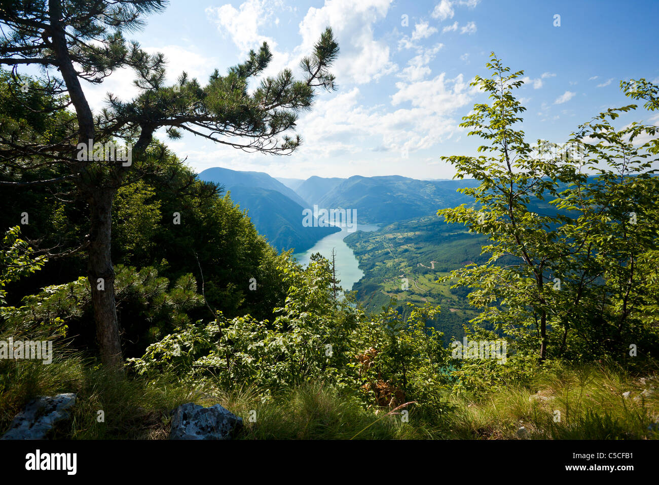 Canyon of drina river hi-res stock photography and images - Alamy