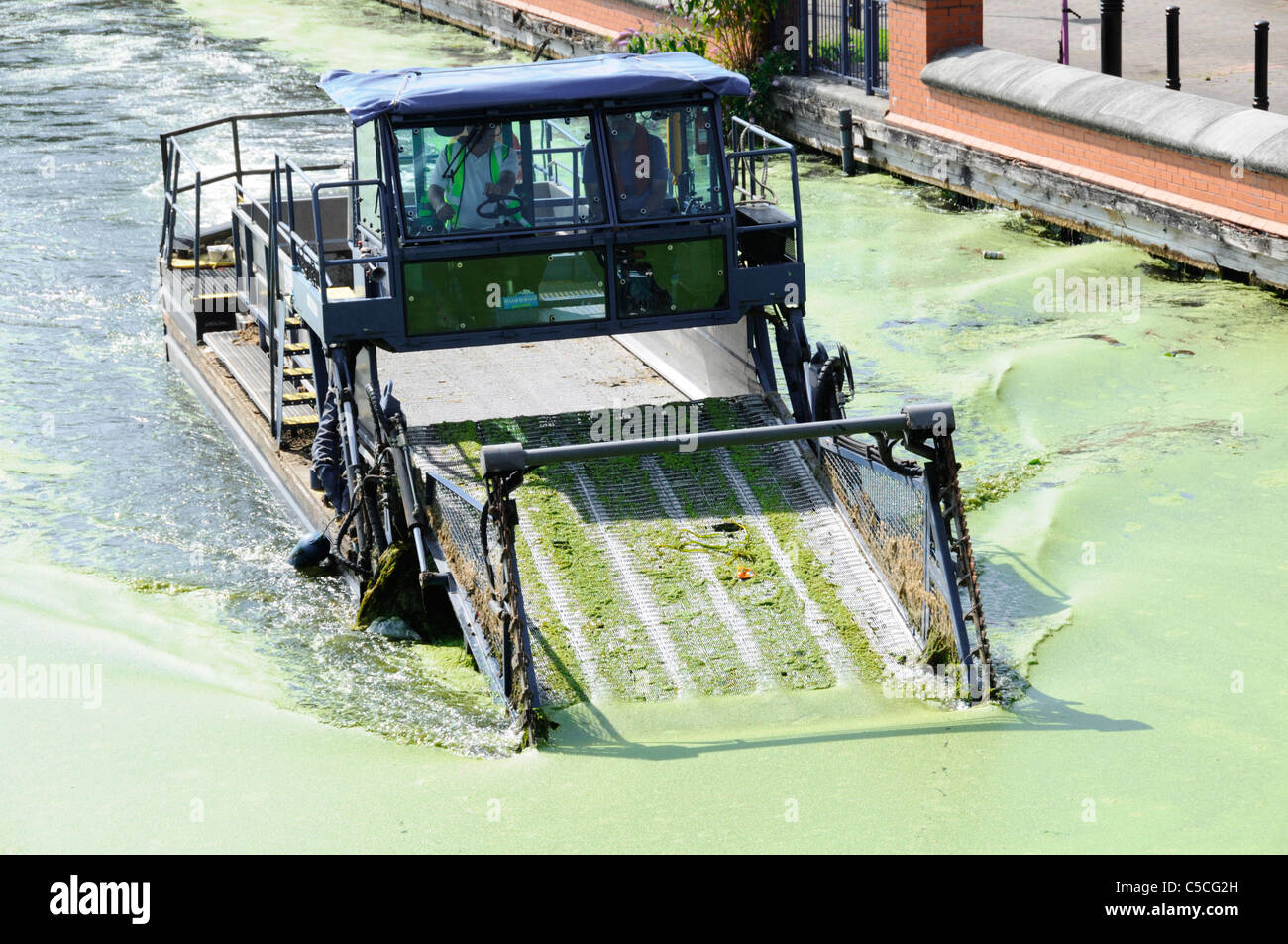 Algal Bloom Canal High Resolution Stock Photography and Images - Alamy