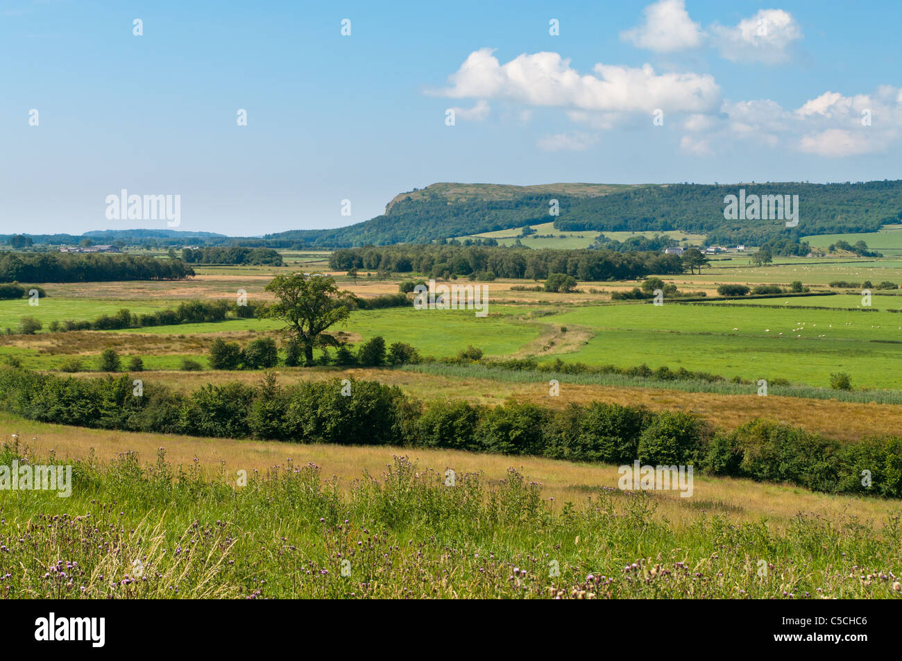 The Lyth Valley Stock Photo - Alamy