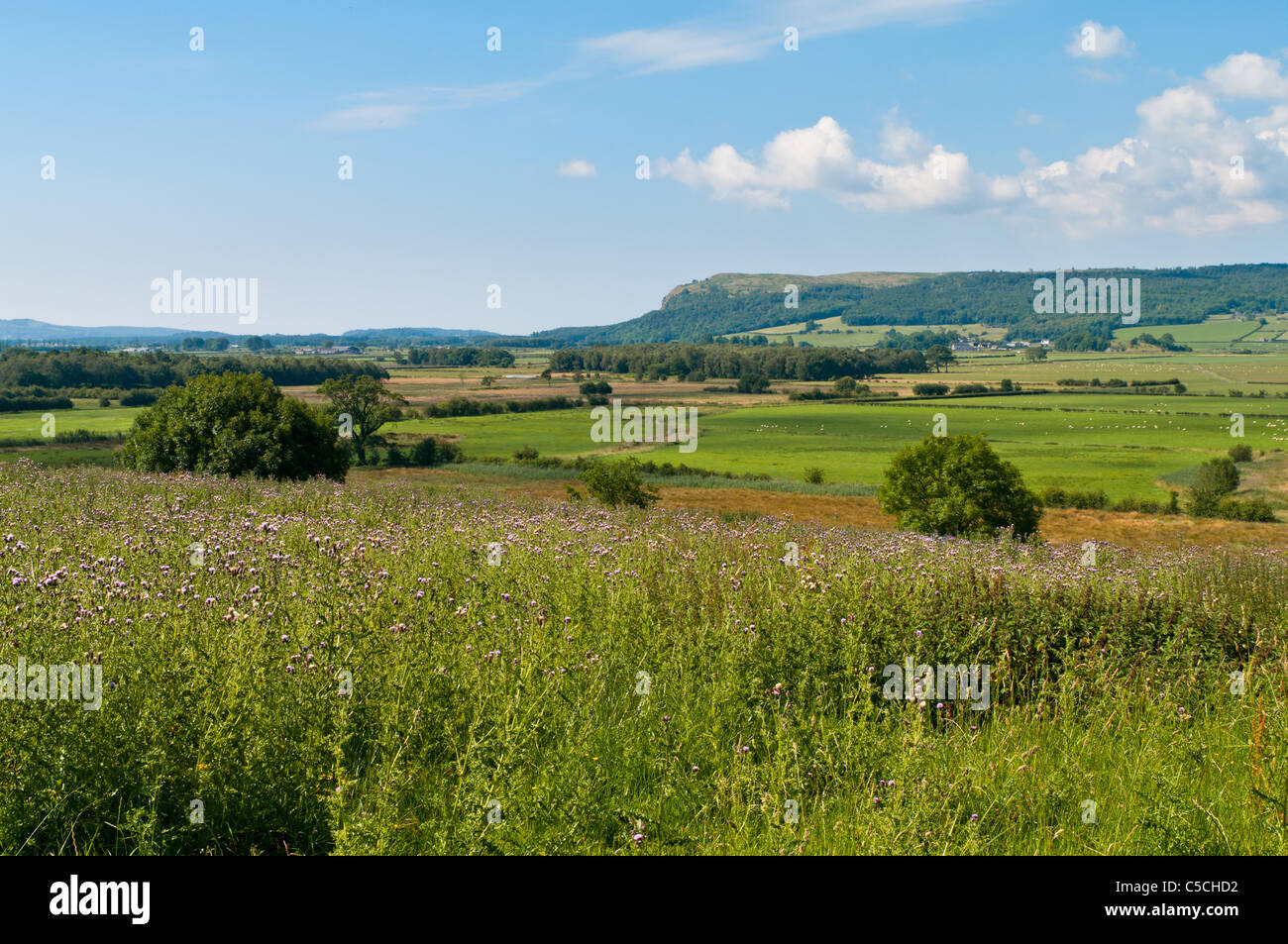 The Lyth Valley Stock Photo - Alamy