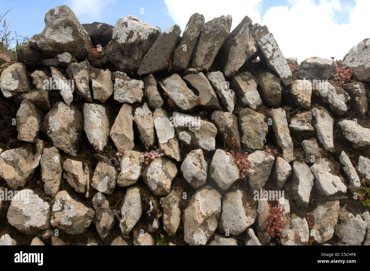 Dry stone wall, Cornwall, Great Britain Stock Photo - Alamy