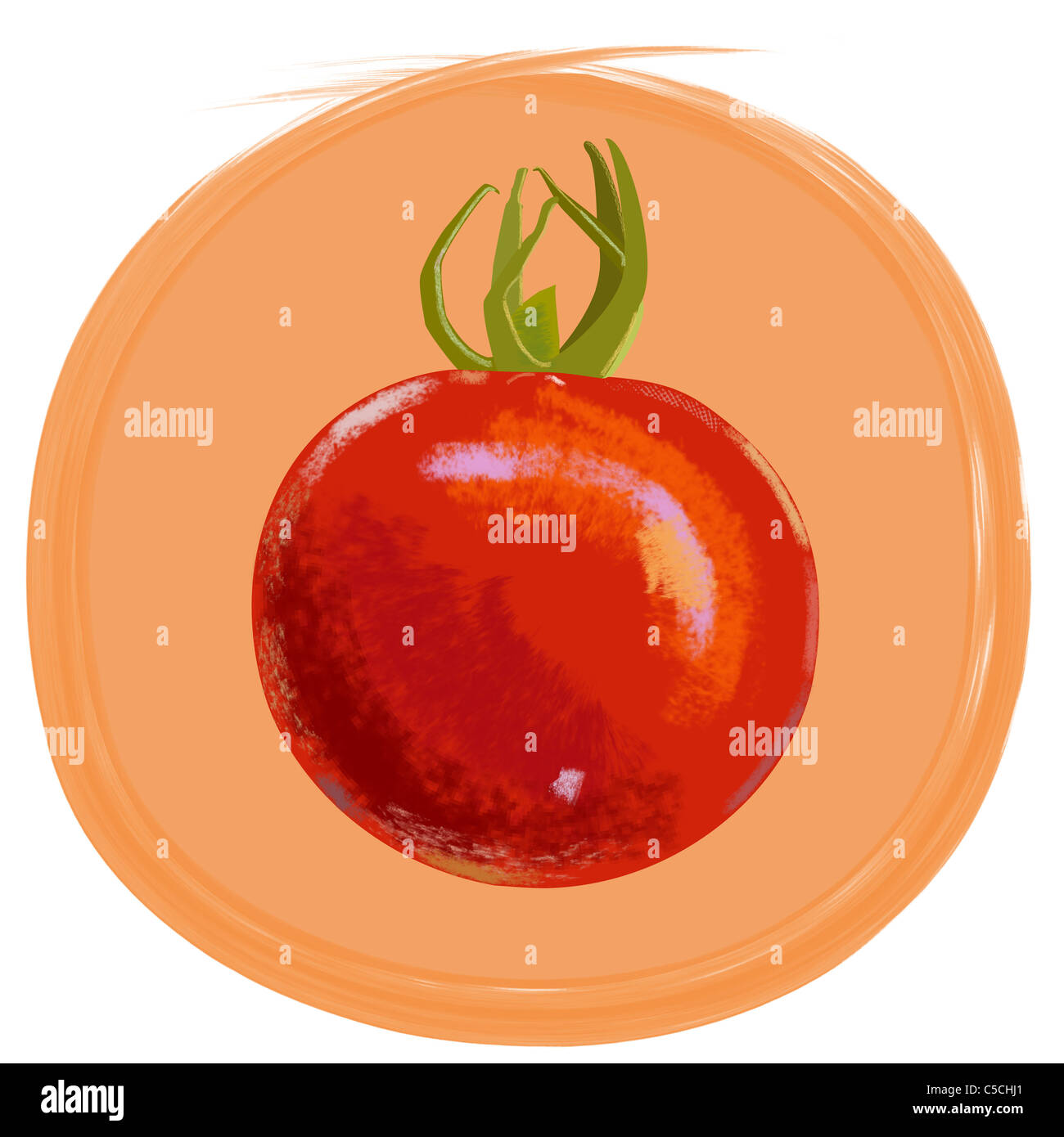 Tomato drawing hi-res stock photography and images - Alamy