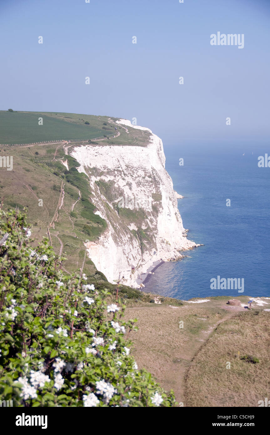 Cliffs of dover kent hi-res stock photography and images - Alamy