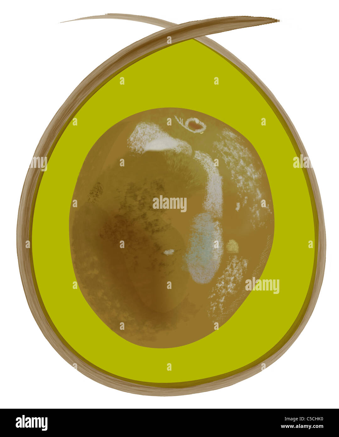 Oval drawing hi-res stock photography and images - Alamy