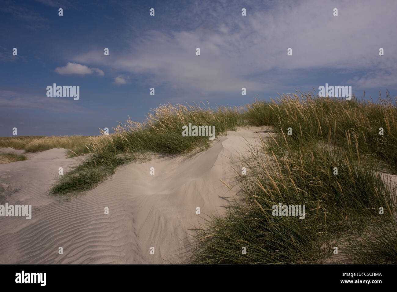 Fixed Dune Habitat High Resolution Stock Photography and Images - Alamy