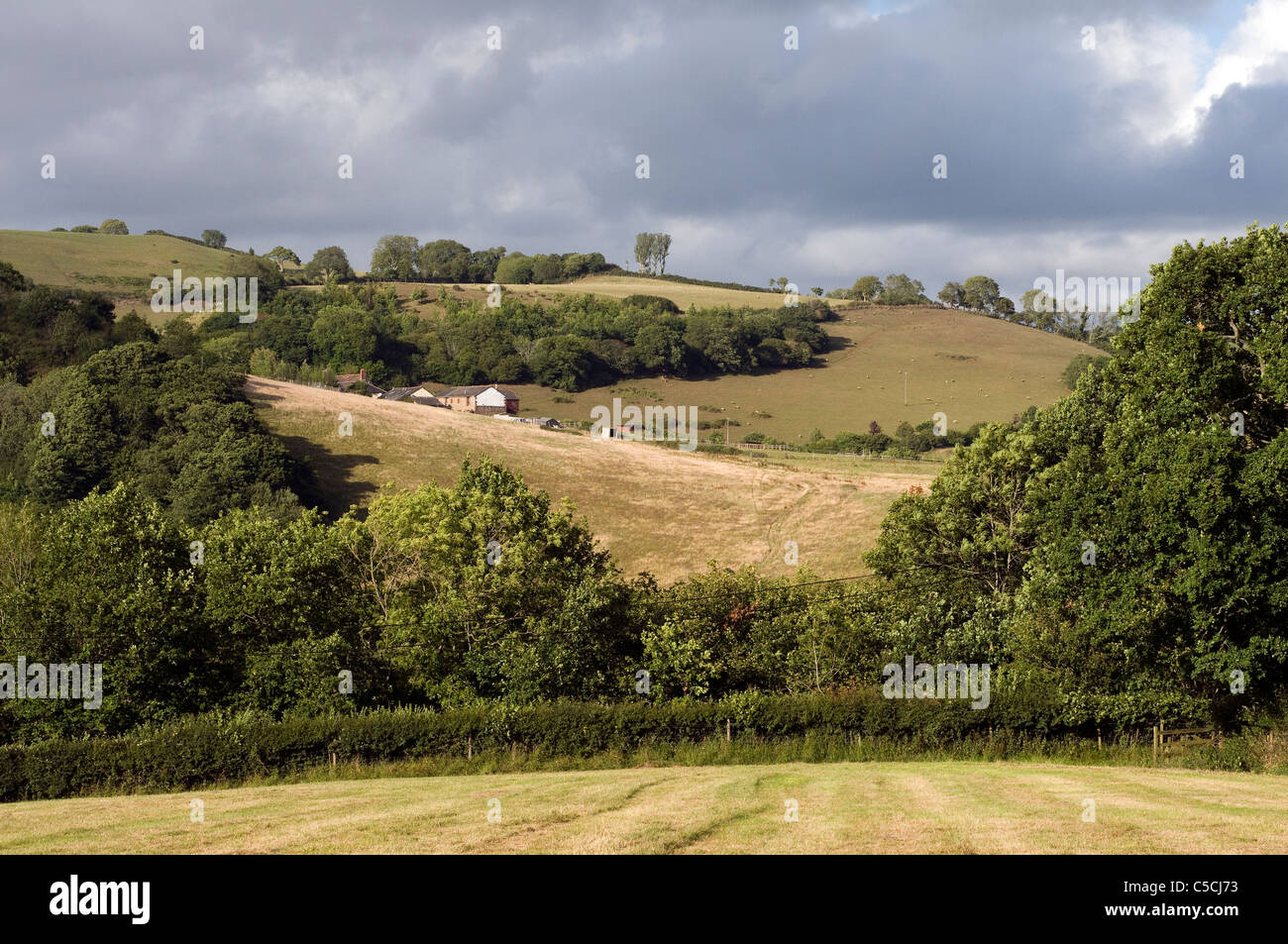 farm in the teign valley,farming in the teign valley,Devon Hedgerows ...