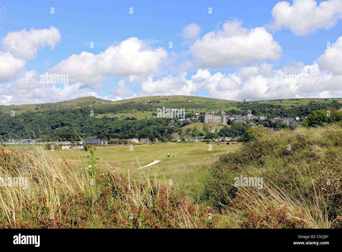 Harlech Golf Course High Resolution Stock Photography and Images - Alamy