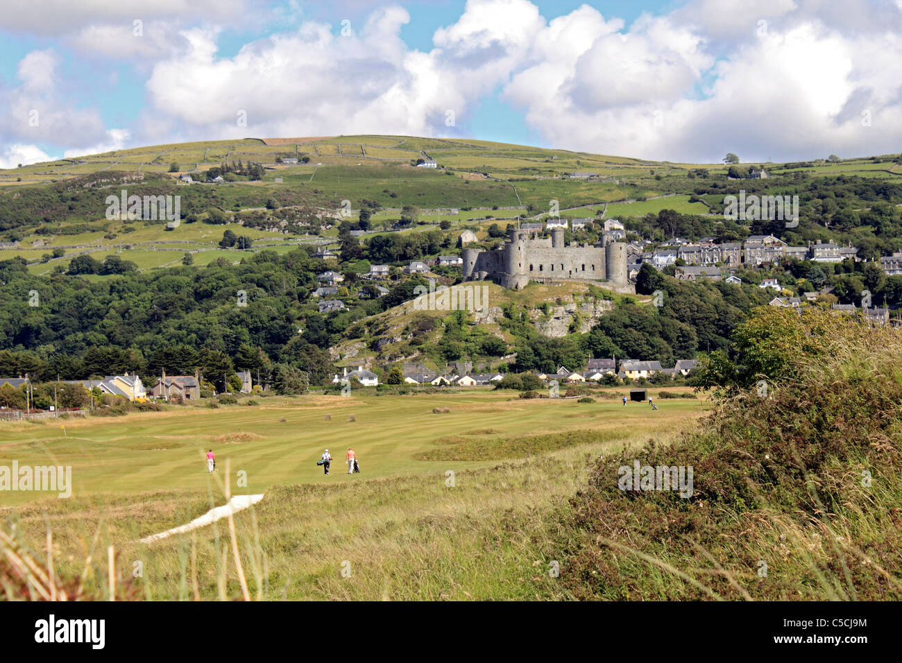 Royal St David's Golf Club, Harlech, Gwynedd, Wales UK Stock Photo - Alamy
