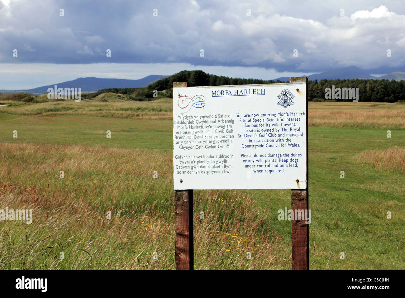 Royal St David's Golf Club, Harlech, Gwynedd, Wales UK Stock Photo - Alamy
